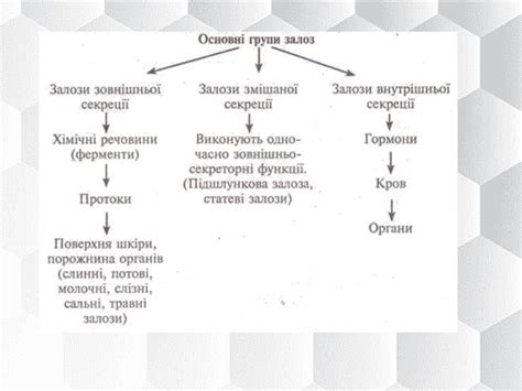 Презентація Ендокринна система 8 клас