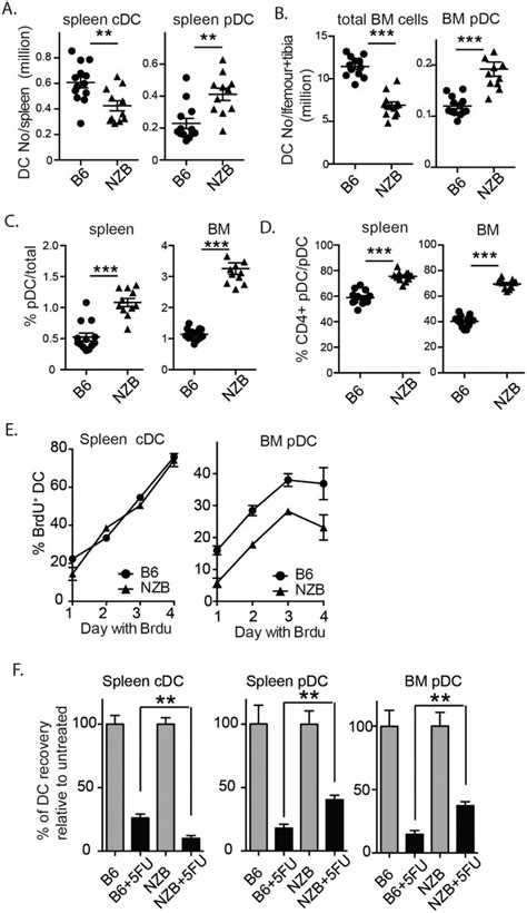 Plasmacytoid Dendritic Cells Are Short Lived Reappraising The Influence Of Migration Genetic