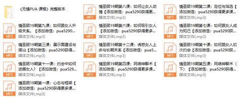 网恋情圣19期 恋爱网课 未授权