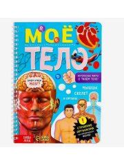 Детские игрушки в магазине «Игры почемучек». Интернет-магазин детских ...