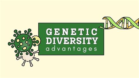 Genetic Diversity Advantages And Disadvantages Earth How