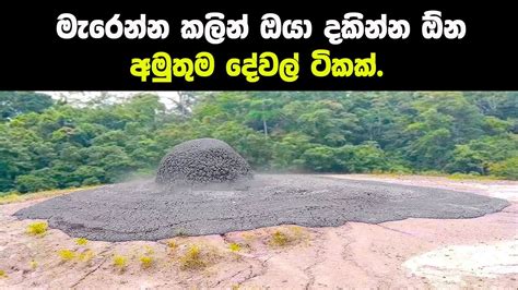 අහම්බෙන් කැමරා වල පටිගත වුනු ජීවිතේ පලවෙනි වතාවට දකින දේවල් ටිකක්