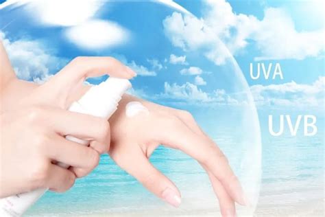 The Best Korean Sunscreen For Oily Skin A Comprehensive Guide Look