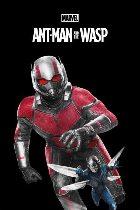 Ant Man And The Wasp 2018 Mikenobbs The Poster Database Tpdb