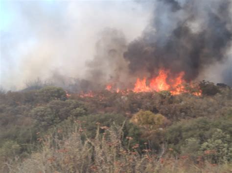 Arrecian Incendios En Tecate Semanario Zeta