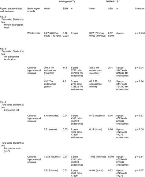 Summary Of Statistical Analyses Download Scientific Diagram