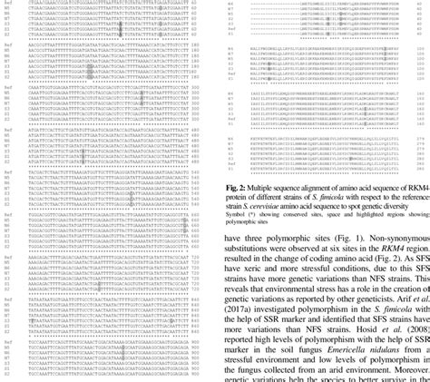 Multiple Sequence Alignment Of Different Strains Of S Fimicola With Download Scientific