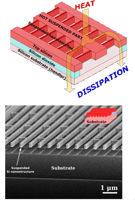 Suspended Nanostructures Bridging Large Silicon Platforms Acting As
