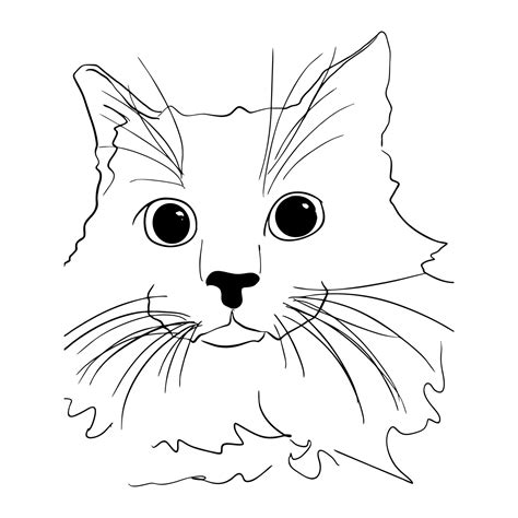 A Cat With A Mustache Vector Art At Vecteezy