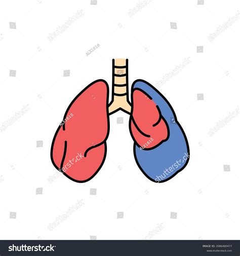 Pneumothorax Color Line Icon Human Diseases Stock Vector Royalty Free 2086480477 Shutterstock
