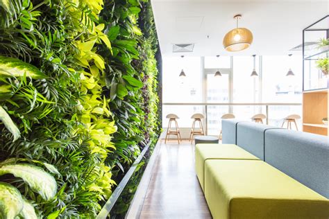 Comment Réaliser Un Mur Végétal Dans Votre Intérieur Décoration