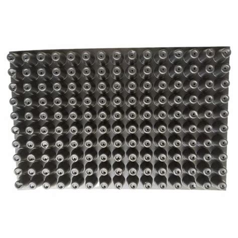 Seedling Tray 150 Cavity Number Of Cavity 40 At Rs 9 50 Tray In