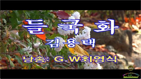 낭송시화 들국화 김용택 낭송gw최영식 Youtube