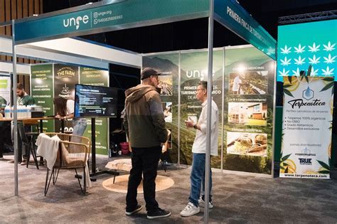El Mundo Del Cannabis En Mendoza Se Viene El Turismo Asociado Al Vino
