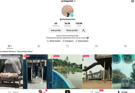 chikamnenye onubogu on linkedin influencermarketing