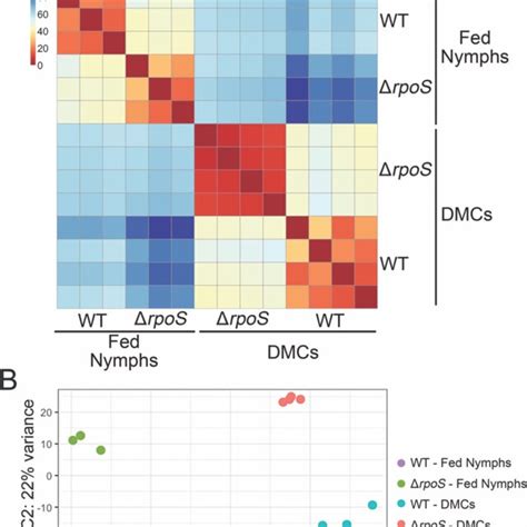 Proposed Model For The Reciprocal Regulation Of The Rpos Gatekeeper By