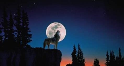 Luna De Lobo Cuándo Es Y Cómo Ver La Luna Llena De Enero Del 2023