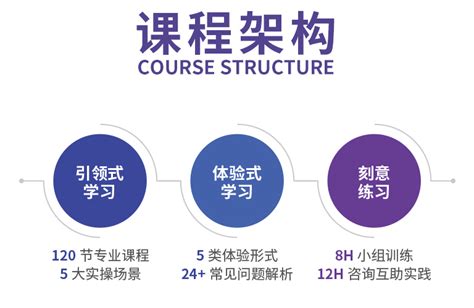 焦点解决短程治疗专项技能培训 心理学专业技能证书项目