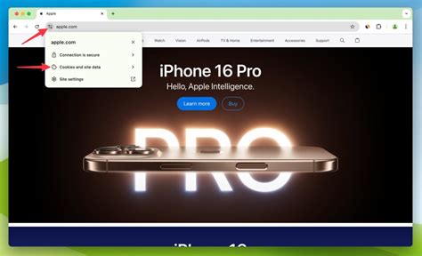 How To Clear Cookies And Date Of A Specific Website On Mac PC