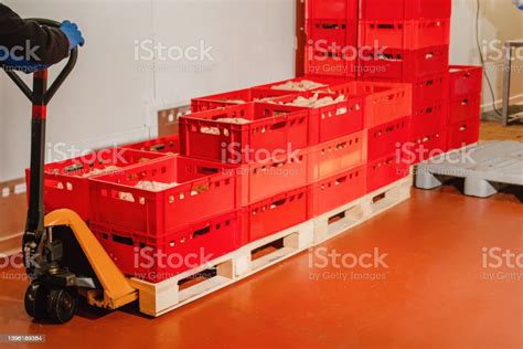 노동자들은 생산을 위해 고기 상자를 움직입니다 고기에서 공장 생산 식품 육류 가공 공장 육류의 포장 및 절단과 생산 라인 가금류에 대한 스톡 사진 및 기타 이미지 Istock