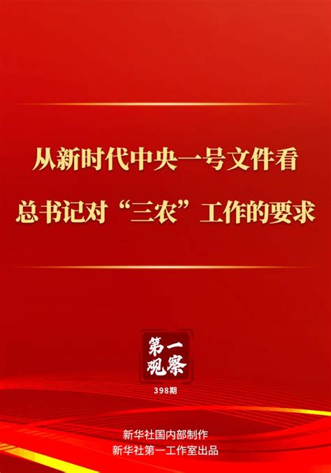 第一觀察 從新時代中央一號文件看總書記對“三農”工作的要求中國網