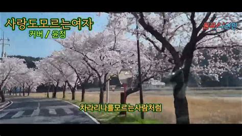 🎖벗꽃길따라불러보는♡♡♡사랑도모르는여자가수윤정원곡나현민 Youtube