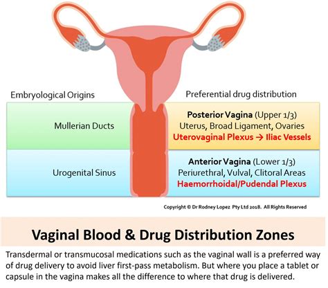 Natural Progesterone Activ Health