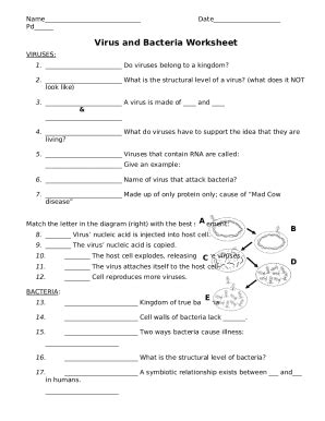 Date Pd Name Virus And Bacteria Worksheet Fill In The Doc Template