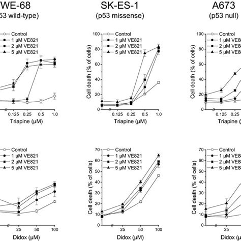 Atri And Rnri Cooperate In Inducing Cell Death In Es Cells One Hour