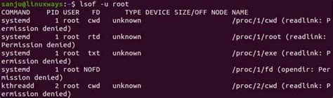 Commande Linux Lsof Expliqu E Avec Exemples Pratiques