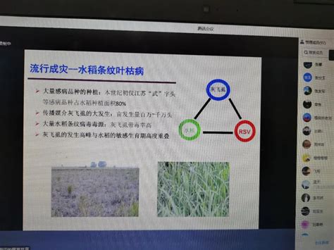 我院成功举办“名家大讲堂”系列讲座