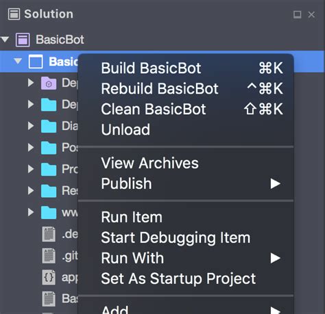 Vs Publish Bright Developers