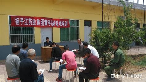 一分部署，九分落实——扬子江药业集团乡村振兴在行动 知乎