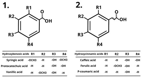 General Structure Of Hydroxybenzoic Acids With Examples And
