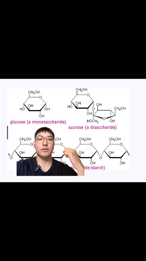 Online Coach Нуруу дээр энэ 2 дасгал хийх үед бараг бүх хэсэгт ачаалал өгөх боломжтой