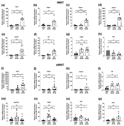 Biomedicines Free Full Text Pioglitazone Reverses Markers Of Islet