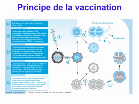 Amupod Formation Vaccination Grippe 2022
