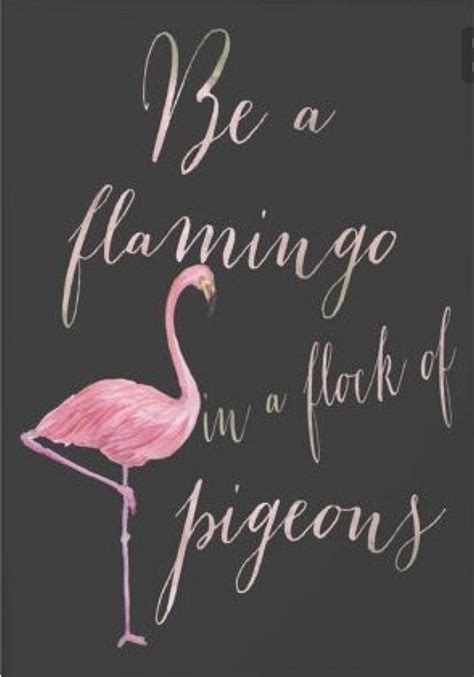 Be A Flamingo Flamingos Quote Pink Flamingos Quote Posters Quote