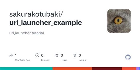 GitHub Sakurakotubaki Launcher Example Launcher Tutorial