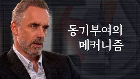 조던 피터슨 동기부여의 메커니즘 Youtube