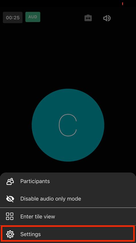 Ios Sdk 610 Hide Settings Button From Menu · Issue 12460 · Jitsijitsi Meet · Github