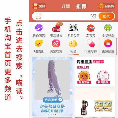 白夜：陀思妥耶夫斯基中短篇小说选【电子书不退换】虎窝淘