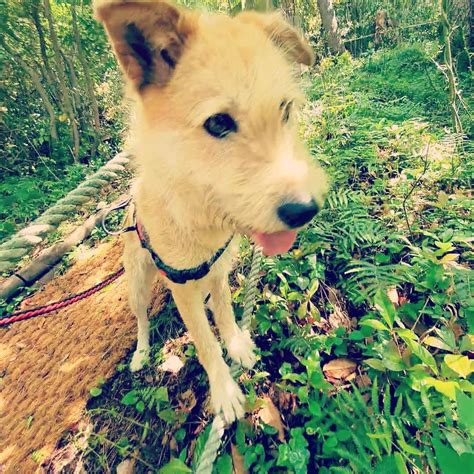 Jcko 상쾌 한 공기가 느껴지는 오름 등반을~ 제주에코여행 다양한 차종과 저렴한가격 제주여행