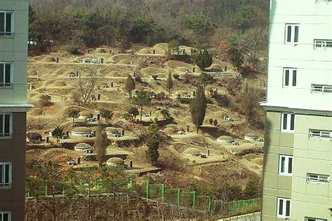 집 앞에 이게 있다고 무덤뷰로 알려진 아파트 근황 반전