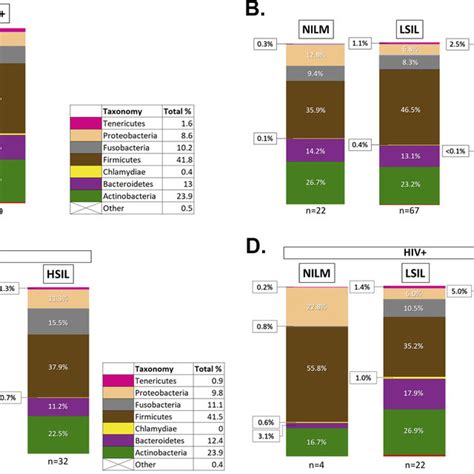 Phylum Level Taxonomy Of The Cervical Bacterial Community Composition