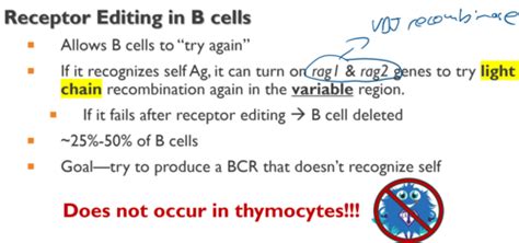 Immunologic Tolerance Flashcards Quizlet