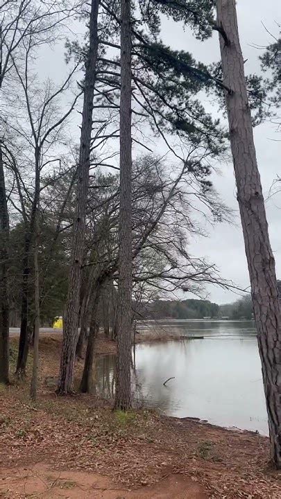 Прекрасный день на рыбалке с сыном Mike Ищу Дома для моих клиентов День на природе Realestate