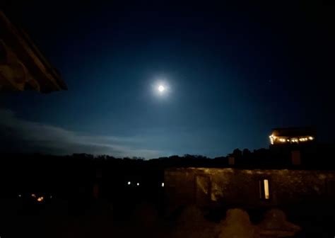 Vollmond Im Krebs Tierkommunikation Und Energetik