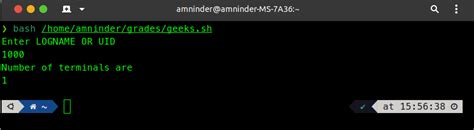 Shell Script To Find How Many Terminals Has User Logged In GeeksforGeeks