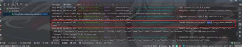 idea启动springboot时指定端口号 sunny123456 博客园